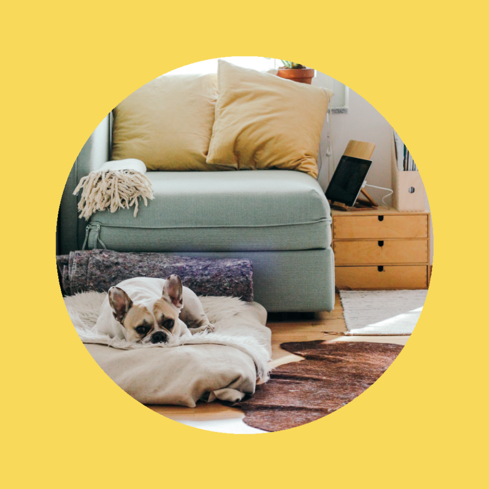 Win a House Competition | UK | Tramway Path